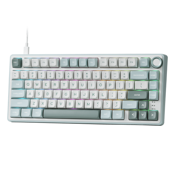 Buy RK ROYAL KLUDGE R75 Skycyan Mechanical Keyboard Silver Switch at ...